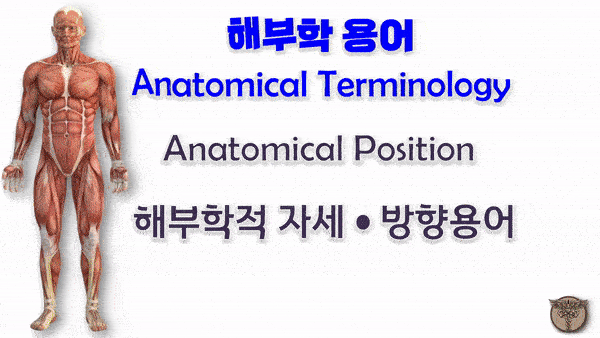 신규간호사를 위한 의학용어 Pdf교재 의학용어 톡톡
